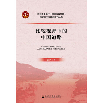 比较视野下的中国道路