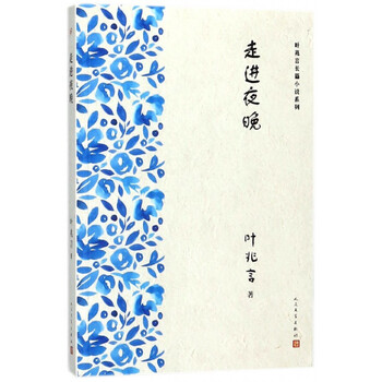 走进夜晚/叶兆言长篇小说系列
