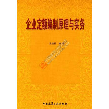 企业定额编制原理与实务 袁建新