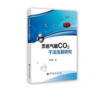 页岩气藏CO2干法压裂研究