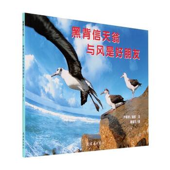 黑背信天翁与风是好朋友
