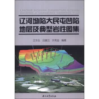辽河坳陷大民屯凹陷地层及典型岩性图集