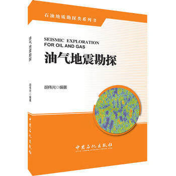 油气地震勘探 胡伟光编著
