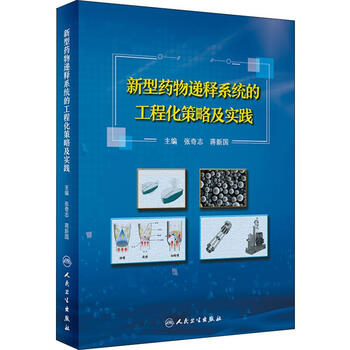 新型药物递释系统的工程化策略及实践