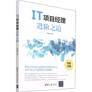 IT项目经理进阶之道 图书