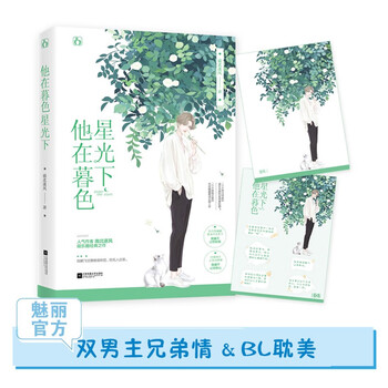 【赠海报+语录贴纸】他在暮色星光下 南北逐风作品 原名不二臣花火双男主兄弟情 BL耽美小说