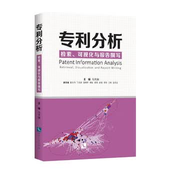 专利分析：检索、可视化与报告撰写