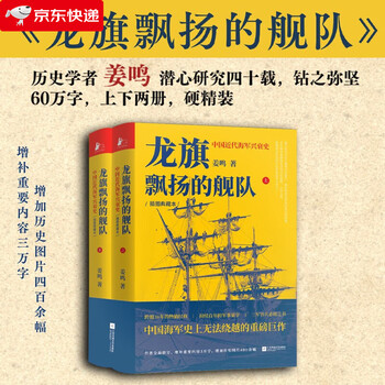 龙旗飘扬的舰队：中国近代海军兴衰史