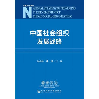 中社会组织发展战略