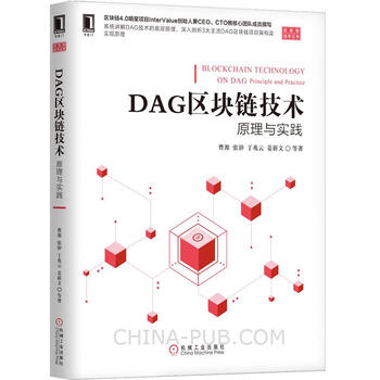 DAG区块链技术 原理与实践 区块链技术书籍 