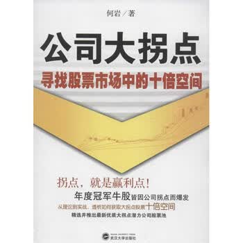 公司大拐点:寻找股票市场中的十倍空间