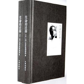 生命的注释下