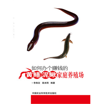 如何办个赚钱的黄鳝泥鳅家庭养殖场