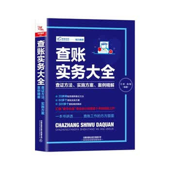 查账实务大全:查证方法.实施方案.案例精解