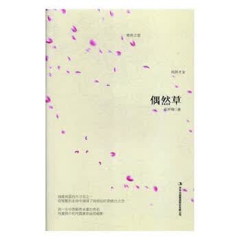 偶然 小说 书籍
