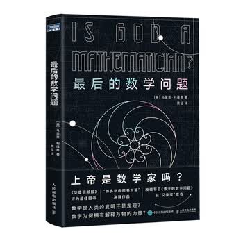 最后的数学问题(图灵出品)