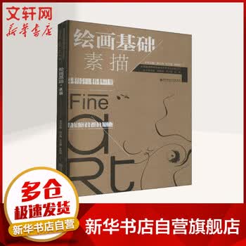 绘画基础素描 