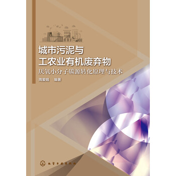 城市污泥与工农业有机废弃物厌氧小分子碳源转化原理与技术 周爱娟 编著