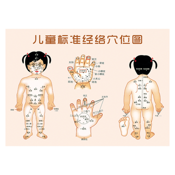 儿童标准经络穴位图宣传画海报挂图儿童中医保健展板墙贴画WST WST19 儿童标准经络穴位图 70*50厘米 PP覆膜贴纸