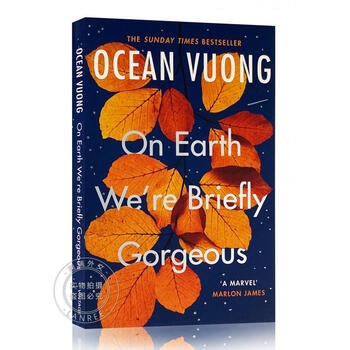 大地上我们一闪而过的荣光 简装 On Earth We're Briefly Gorgeous