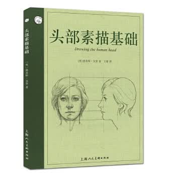 头部素描基础