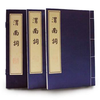 正版 渭南词9787534858352