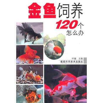 金鱼饲养120个怎么办 叶键　主编【正版书】