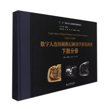 正版书籍 数字人连续横断层解剖学彩色图谱：下肢分册9787572306808