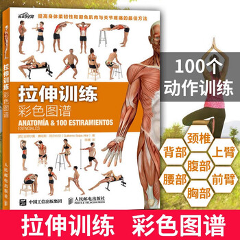 拉伸训练彩色图谱 运动健身书籍 高效健身计划书 科学安全拉伸方案 标准拉伸动作 久坐解压放松锻炼技巧