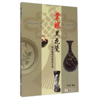 掌眼黑花瓷 明清磁州窑辨伪宝典 华龄出版社