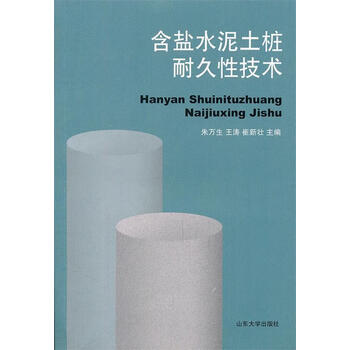 含盐水泥土桩耐久性技术 朱万生,王涛,崔新壮　主编