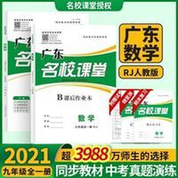 2021名校课堂广东专版数学九年级全一册人教版RJ同步练习中学教辅 名校课堂.数学九年级.全一册