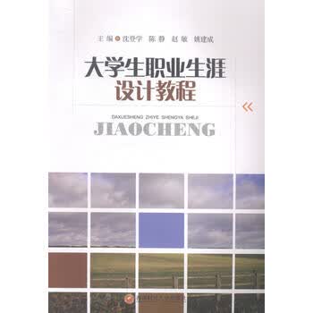 大学生职业生涯设计教程 励志与成功 书籍