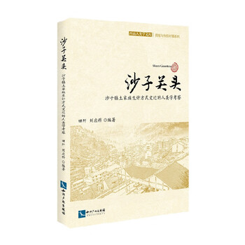 沙子关头 田阡,刘应科著 知识产权出版社