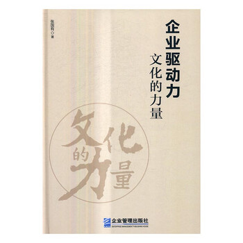 企业驱动力:文化的力量 管理 书籍
