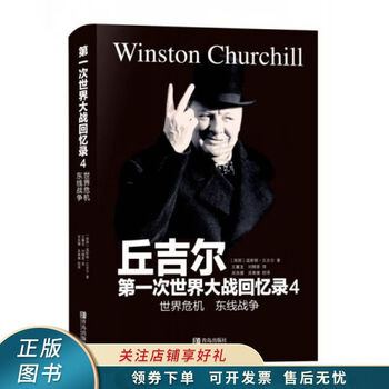 第一次世界大战回忆录4世界危机东线战争