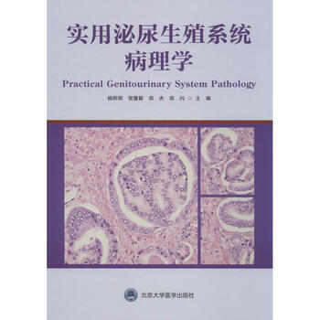 实用泌尿生殖系统病理学