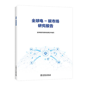 电-碳市场研究报告 经济 书籍