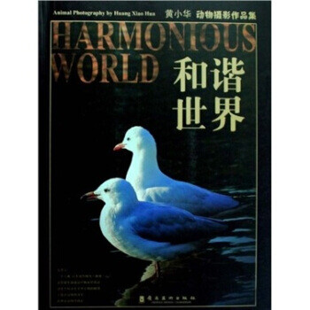 和谐世界 黄小华 著 9787536240513