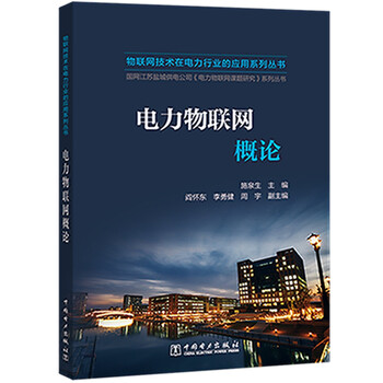 物联网技术在电力行业的应用系列丛书 电力物联网概论