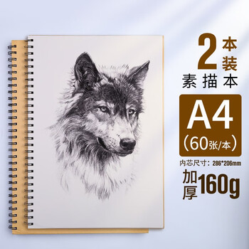 2本素描本A4美术生手绘专用素描纸16K小学生用空白图画本儿童幼儿园8k涂鸦本加厚成年初学者动漫彩铅纸画本 A4加厚-160克（买一送一共2本）