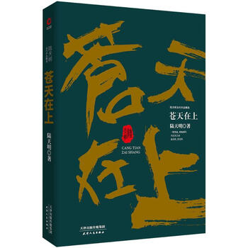 苍天在上 陆天明 天津人民出版社【正版图书】