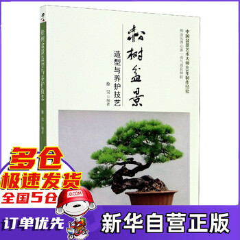 松树盆景造型与养护技艺