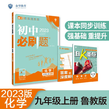 2023版初中必刷题 化学九年级上册 LJ鲁教版理想树教材同步练习题辅导资料