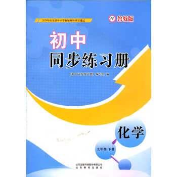 2022初中同步练习册化学九9年级下册配鲁教版六三制