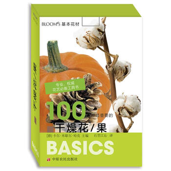 干燥花 果 【正版书】