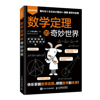 数学定理的奇妙世界/欢乐数学营