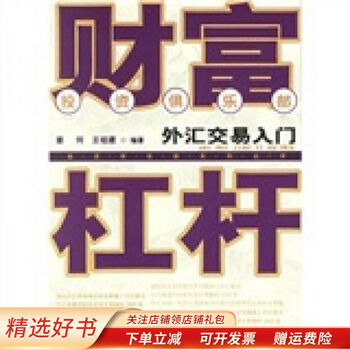财富杠杆：外汇交易入门