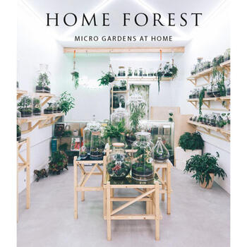 Home Forest: Micro Gardens at Home