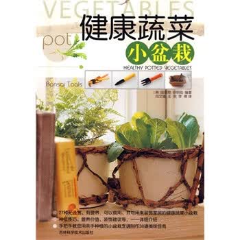 健康蔬菜小盆栽
